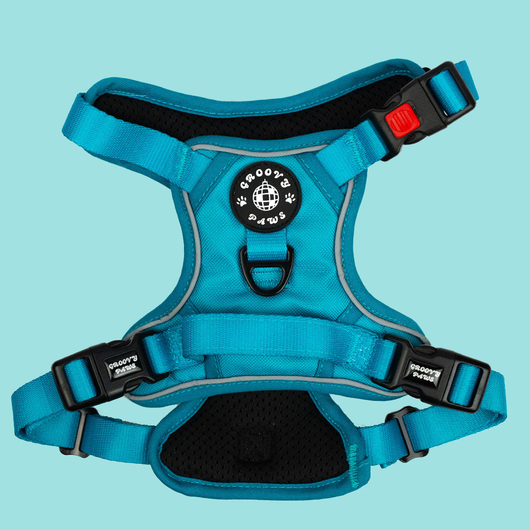 Grip & Groove Reflective Adjustable Harness - Tealin' Good – Groovy Paws